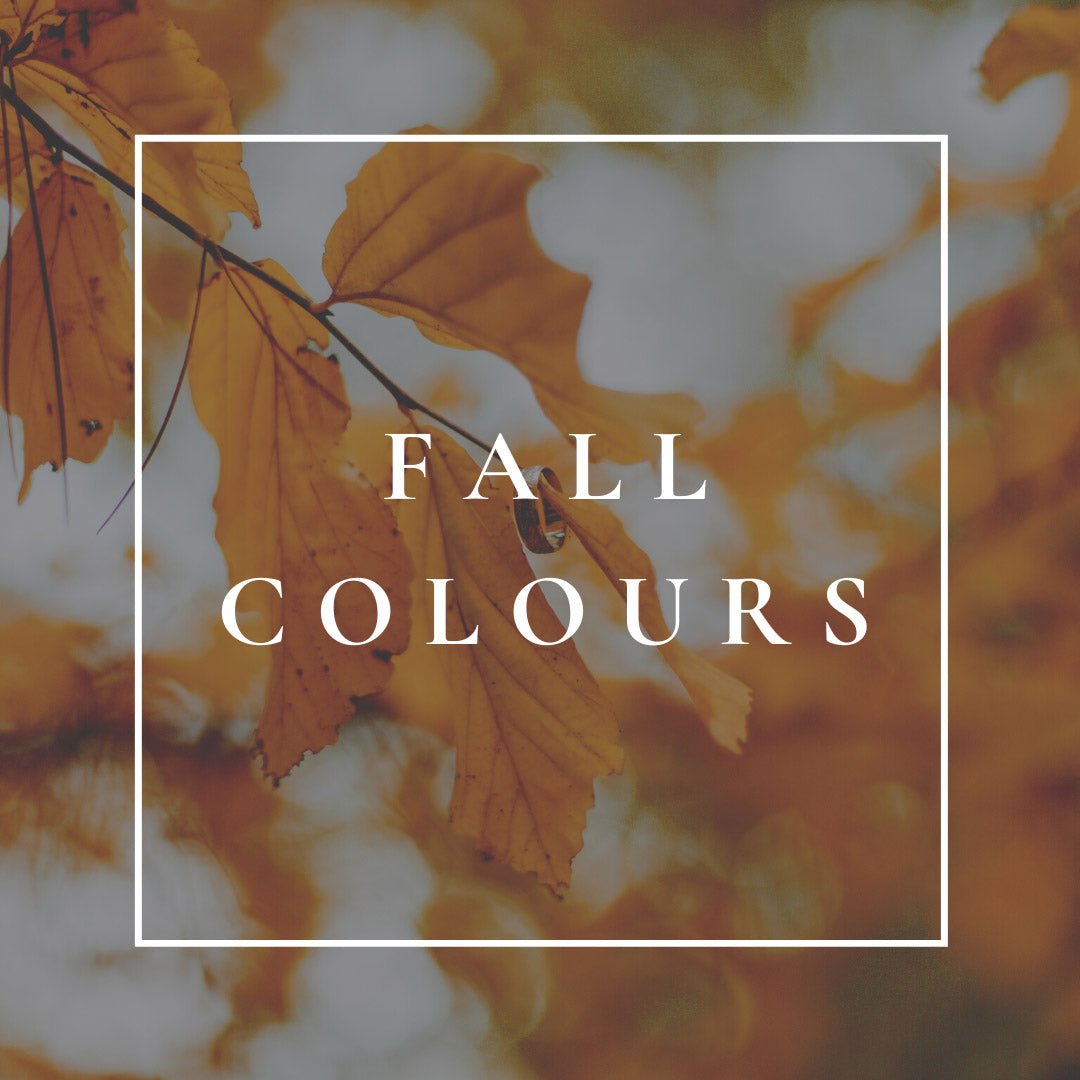FALL COLOURS – Kathleen O'Grady
